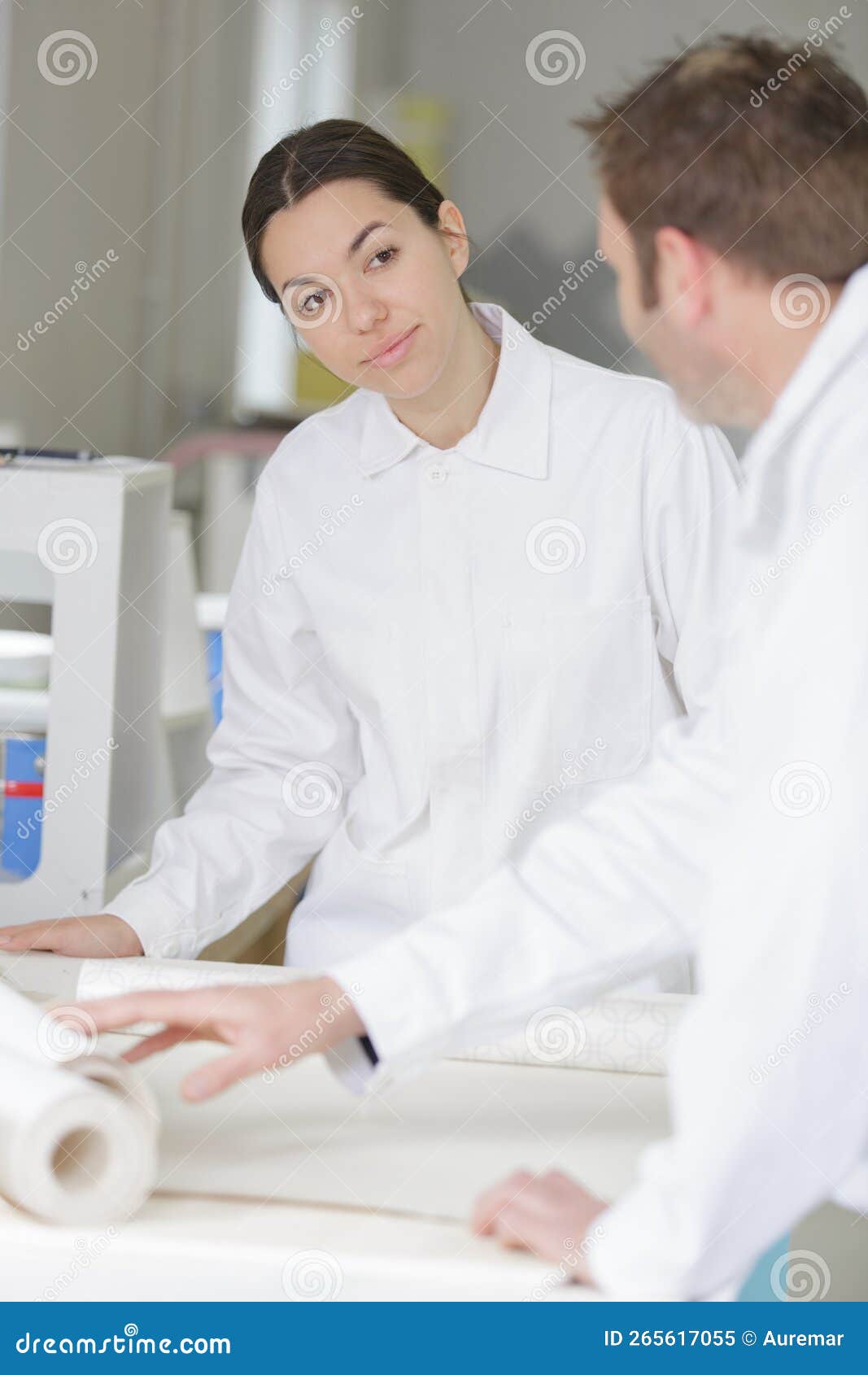 Apprentice and Paint at Work Stock Image - Image of doityourself ...
