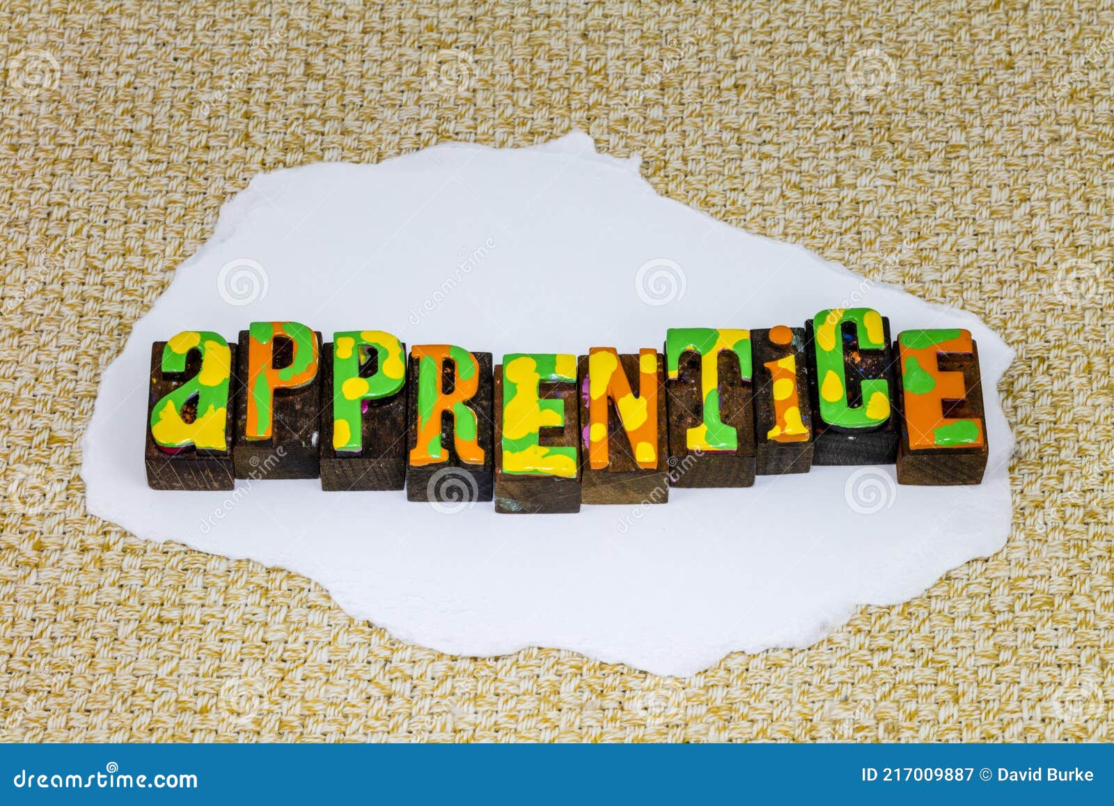 Apprentice Trainee Industry Workshop Job Training Worker Apprenticeship ...