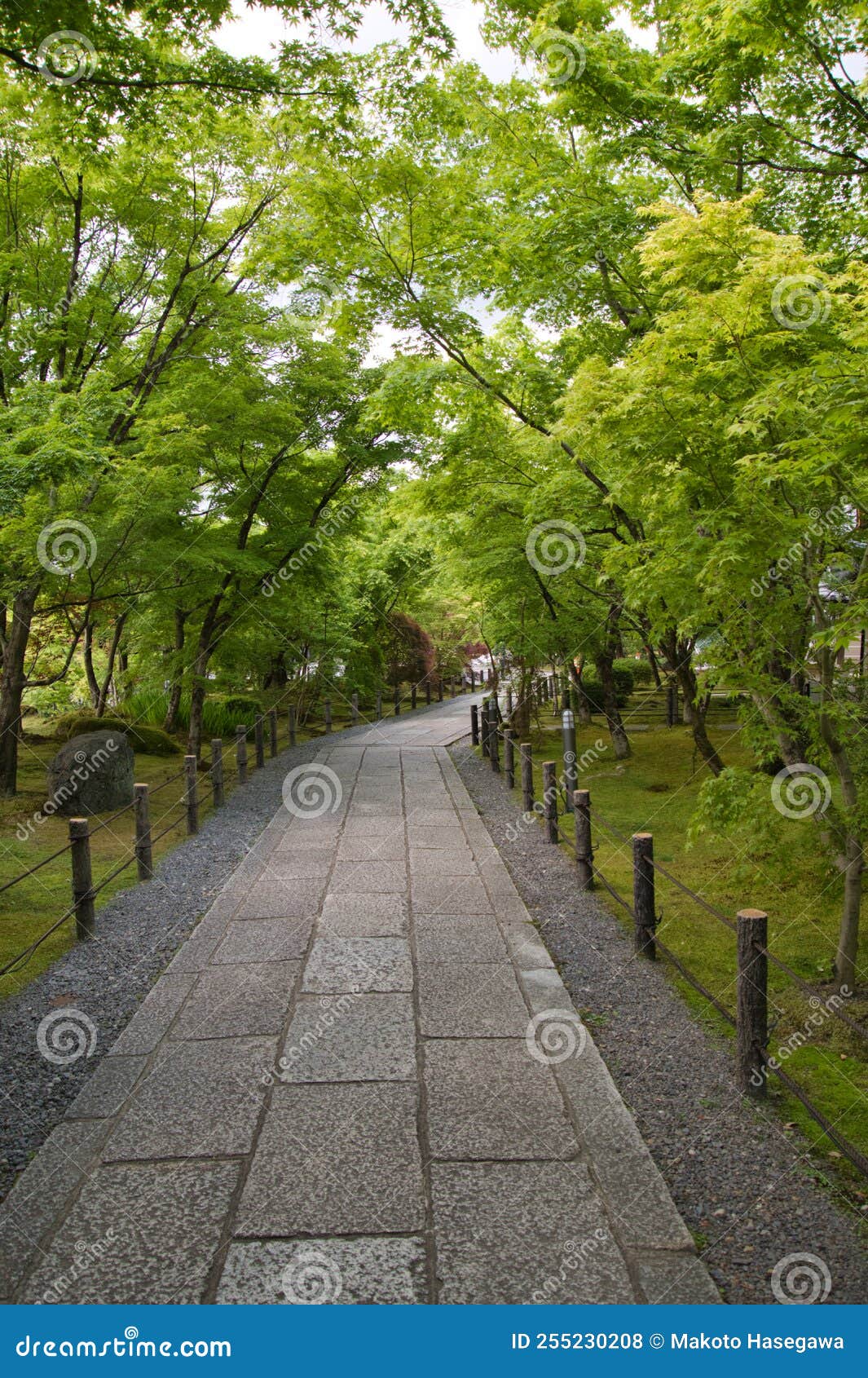 The Approach Inside Eikan-Do Temple. Kyoto Japan Stock Photo - Image of ...