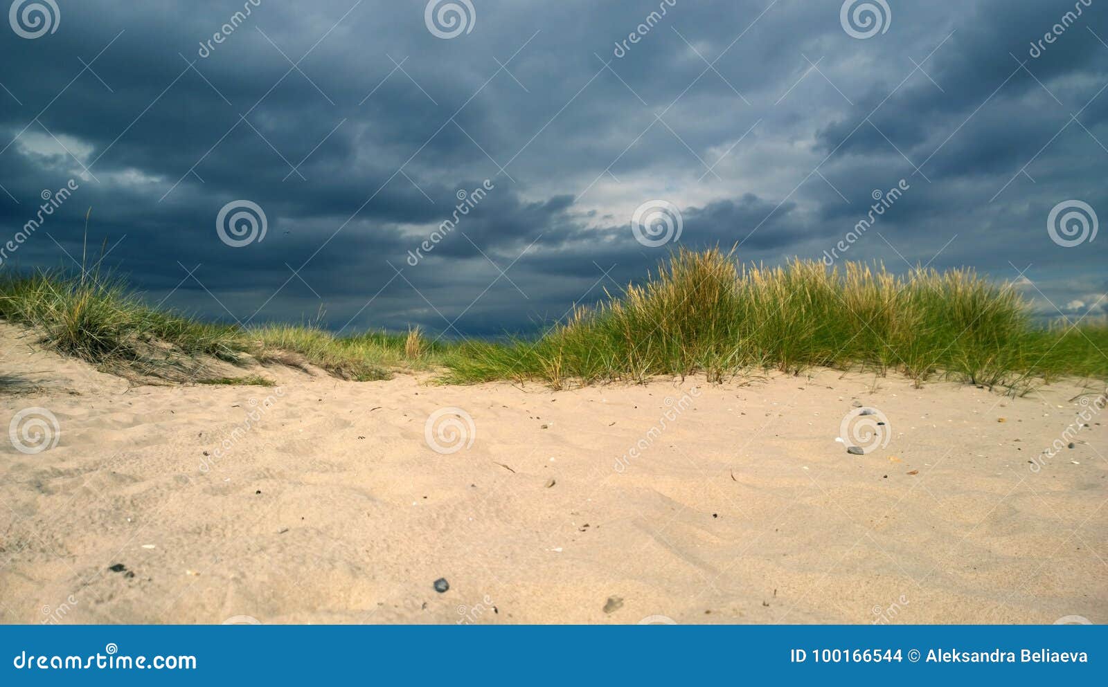 The Approaching Storm Cloud on the Beach with Dunes and Pure White Sand ...