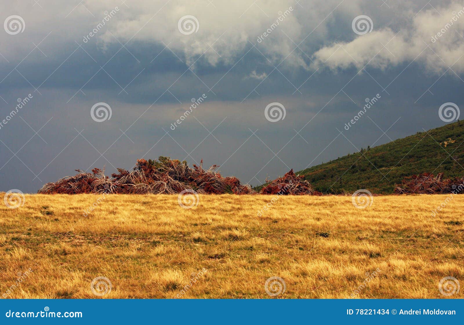 Approaching storm stock photo. Image of explore, vacation - 78221434