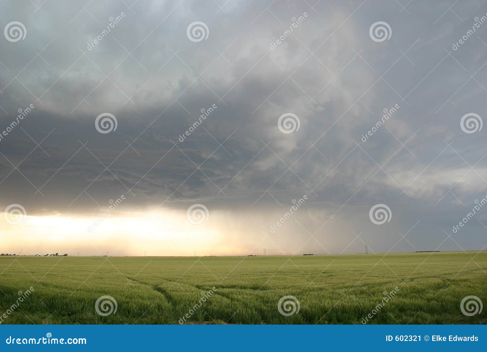 Approaching Thunderstorm Over Wheat Field Stock Image - Image of plains ...
