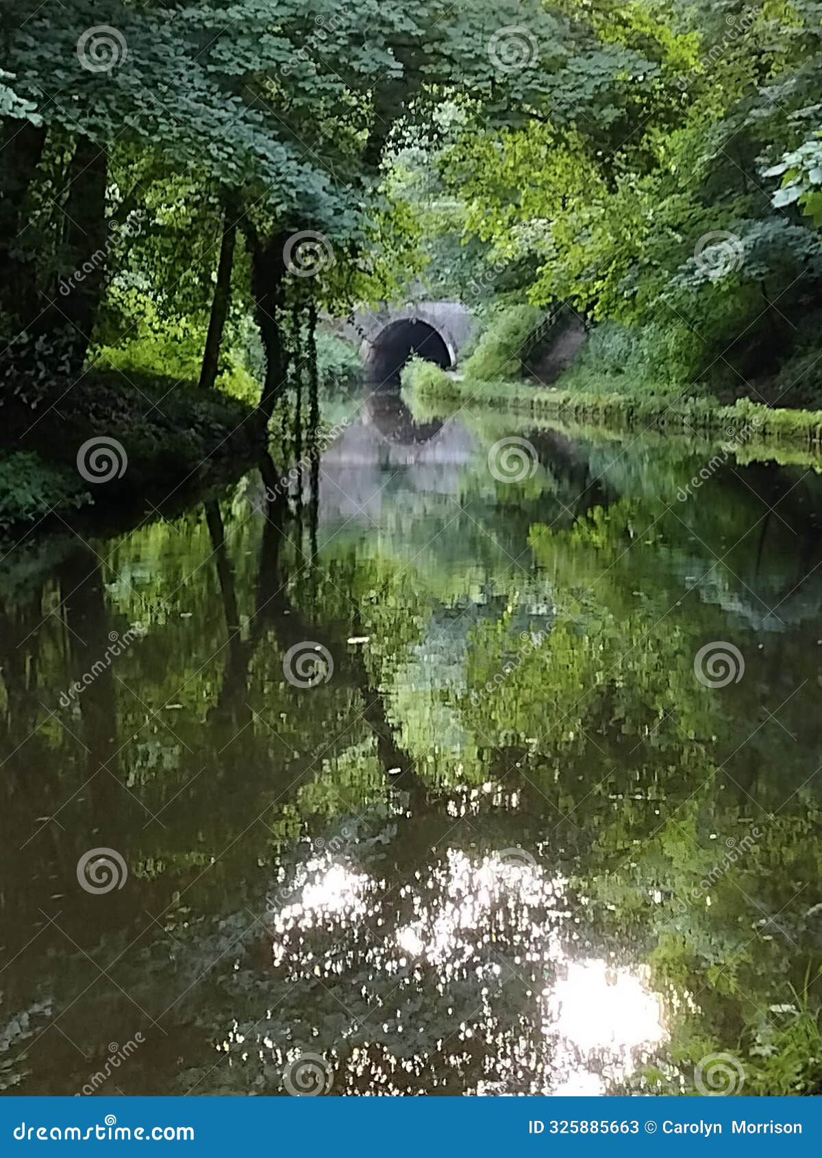 Ellesmere Tunnel, Llangollen Canal, Wales Stock Image - Image of ...