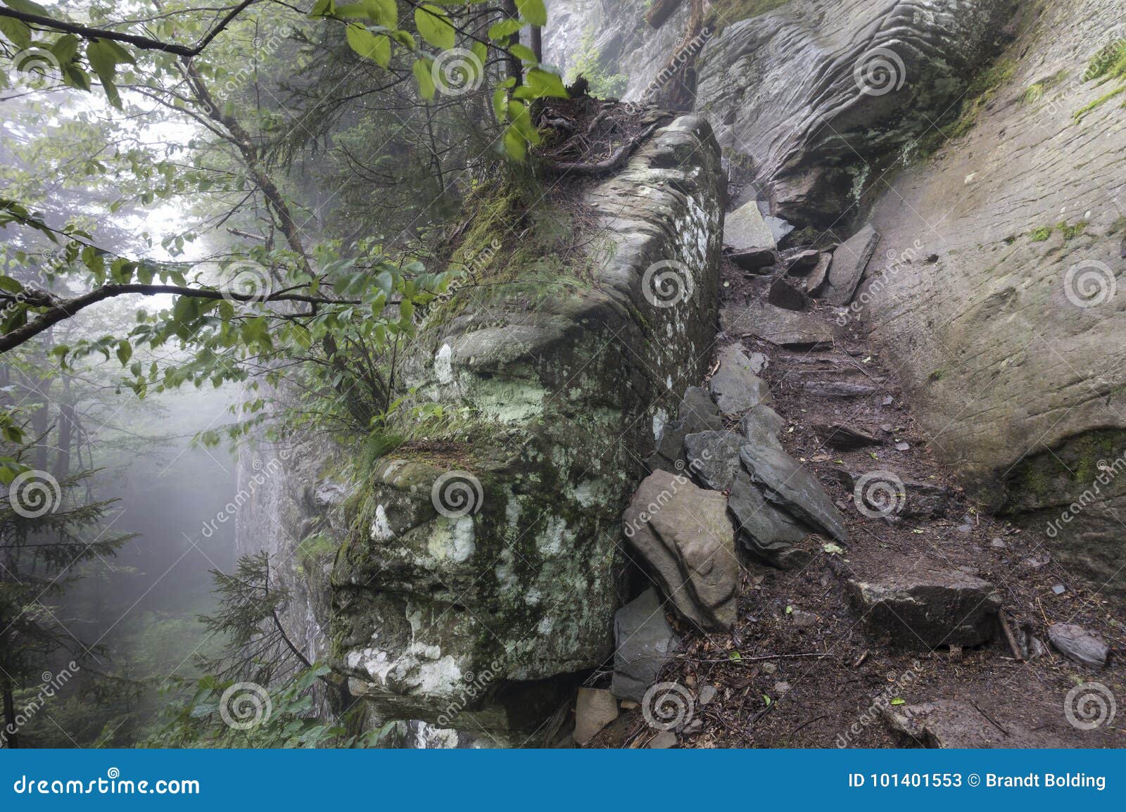 The Devils Path in the Catskill Mountains Stock Image - Image of rock ...