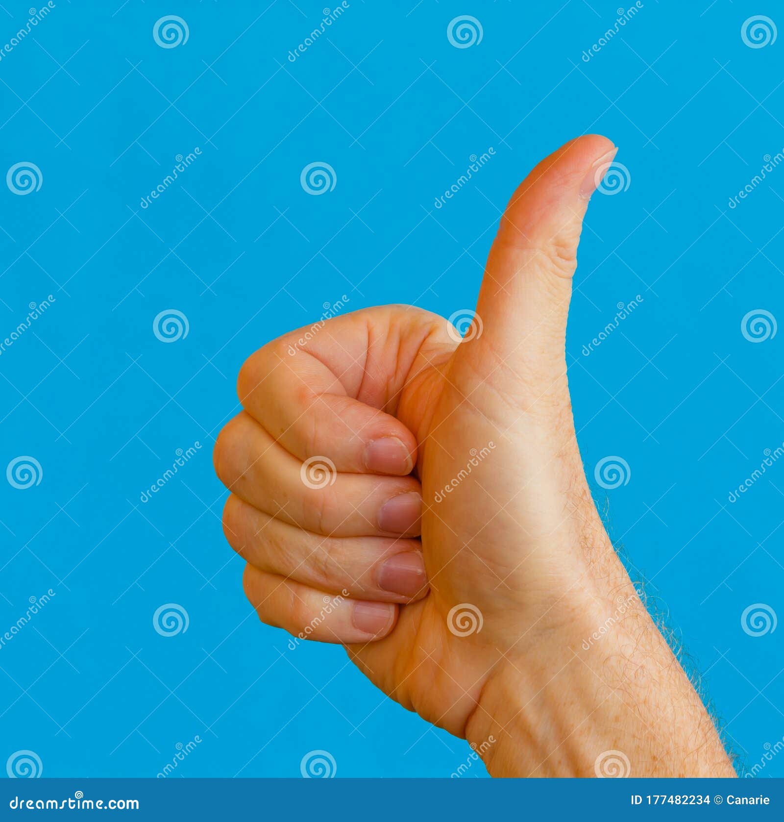 The approval symbol stock photo. Image of hand, isolated - 177482234