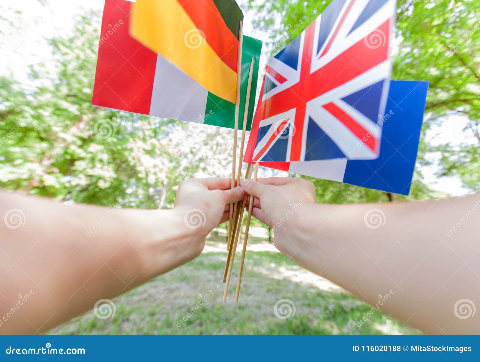 Aprendizaje De Banderas Del International De Las Idiomas Foto de ...