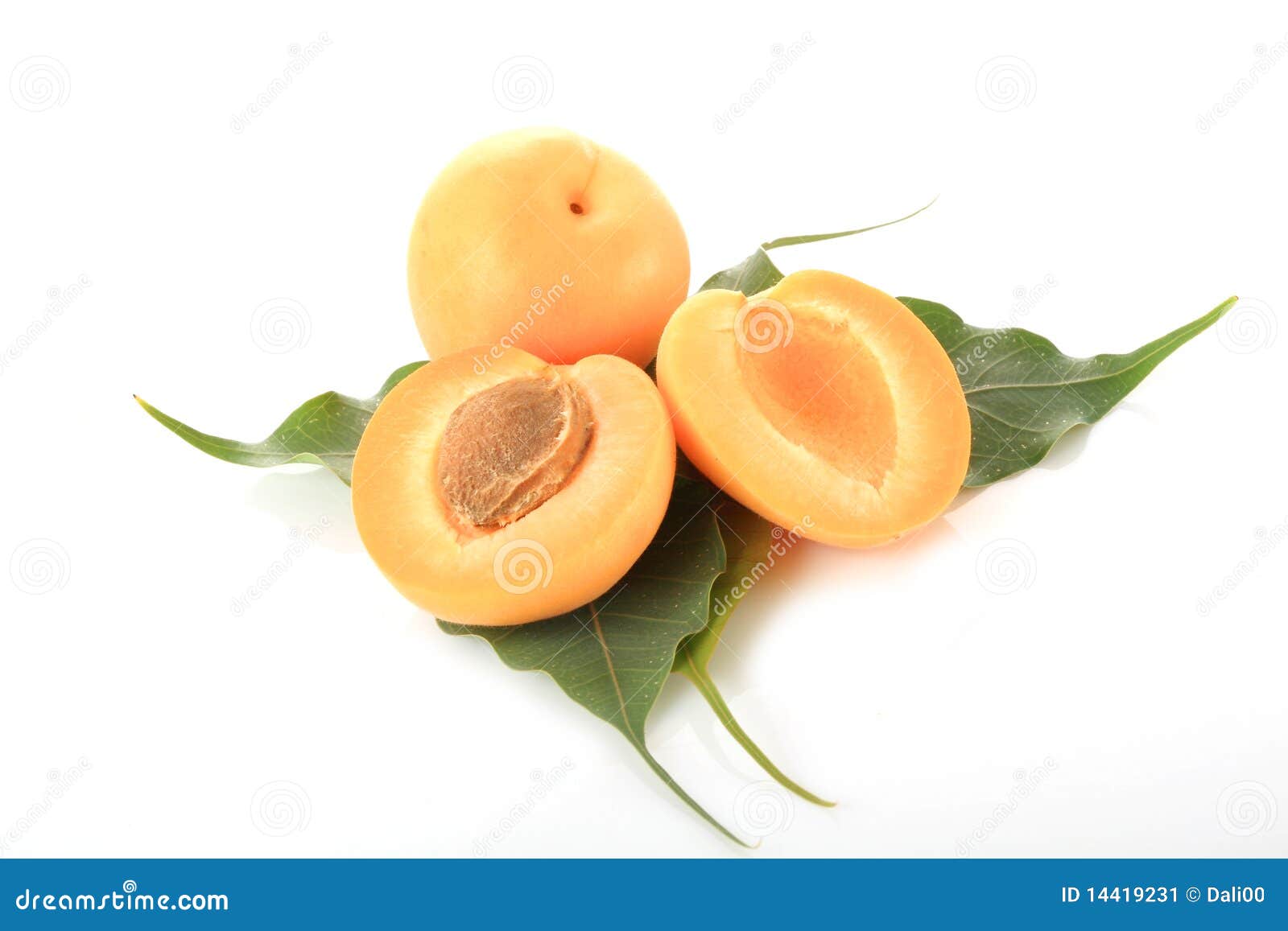 Apricot stock image. Image of healthy, green, nice, orange - 14419231