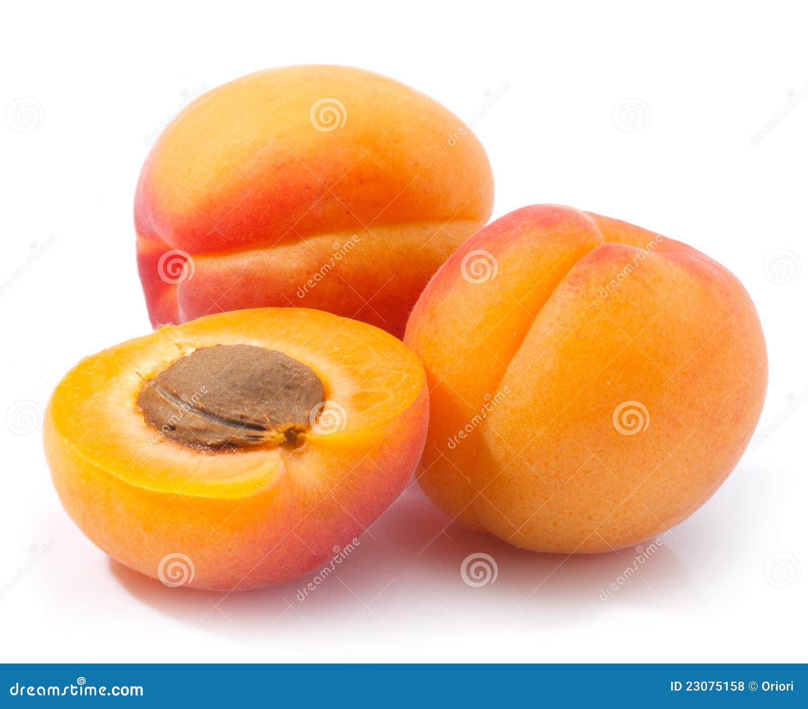 Apricot stock photo. Image of nature, fragrance, diet - 23075158
