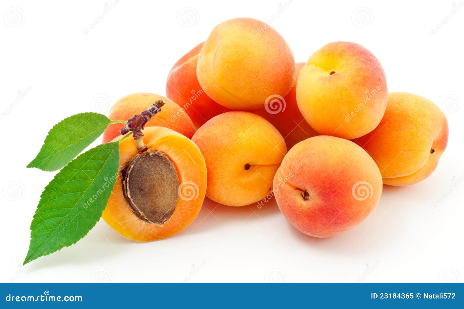 Apricot. stock image. Image of green, beverage, apricot - 23184365