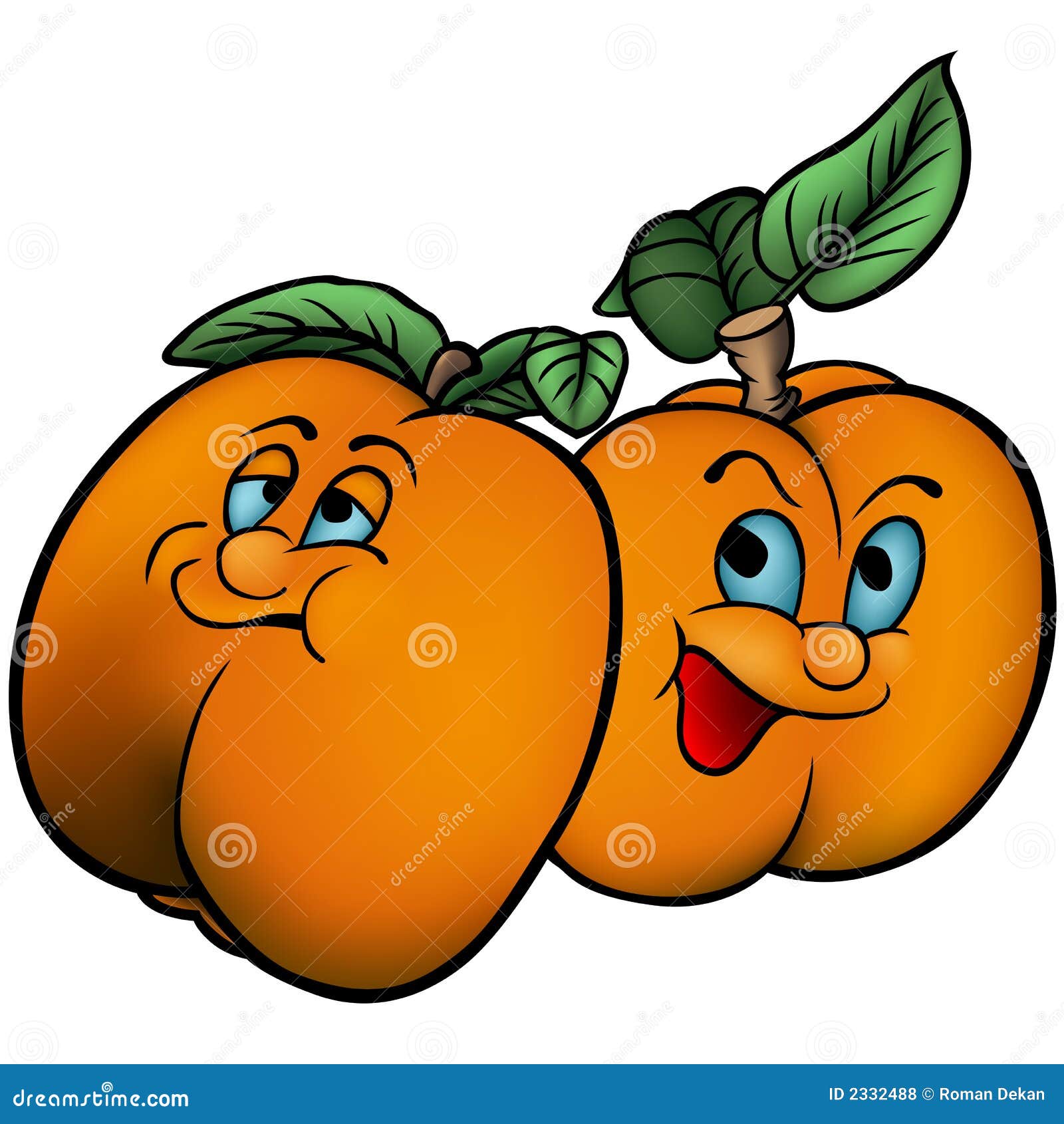 Apricot stock vector. Illustration of cartoons, clipart - 2332488