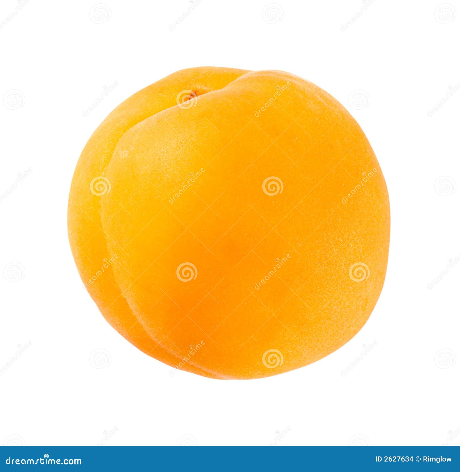 Apricot stock photo. Image of healthy, nutrition, juice - 2627634