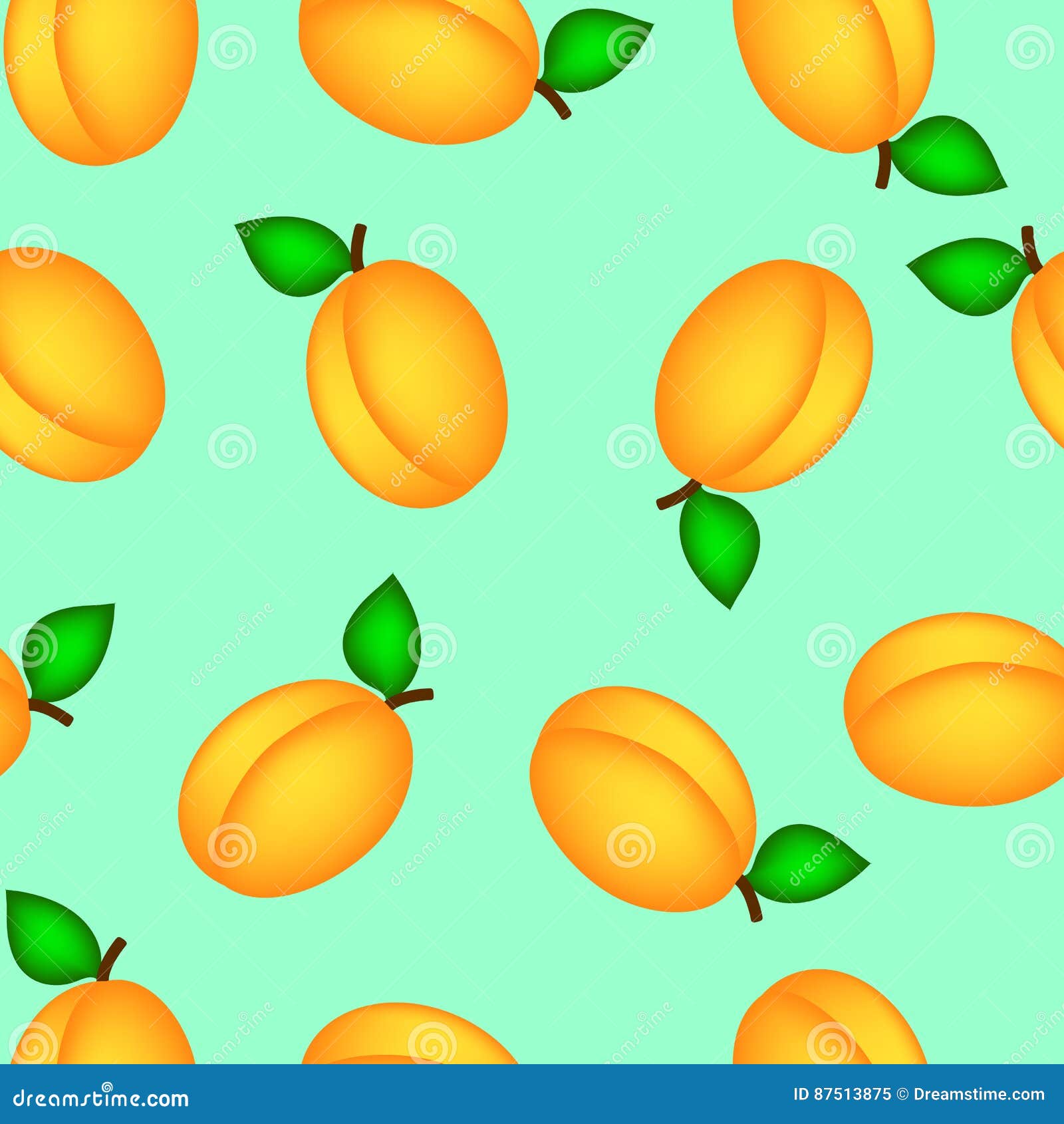 Simple Apricot Coloring Book For Children And Kids Vector Illustration ...