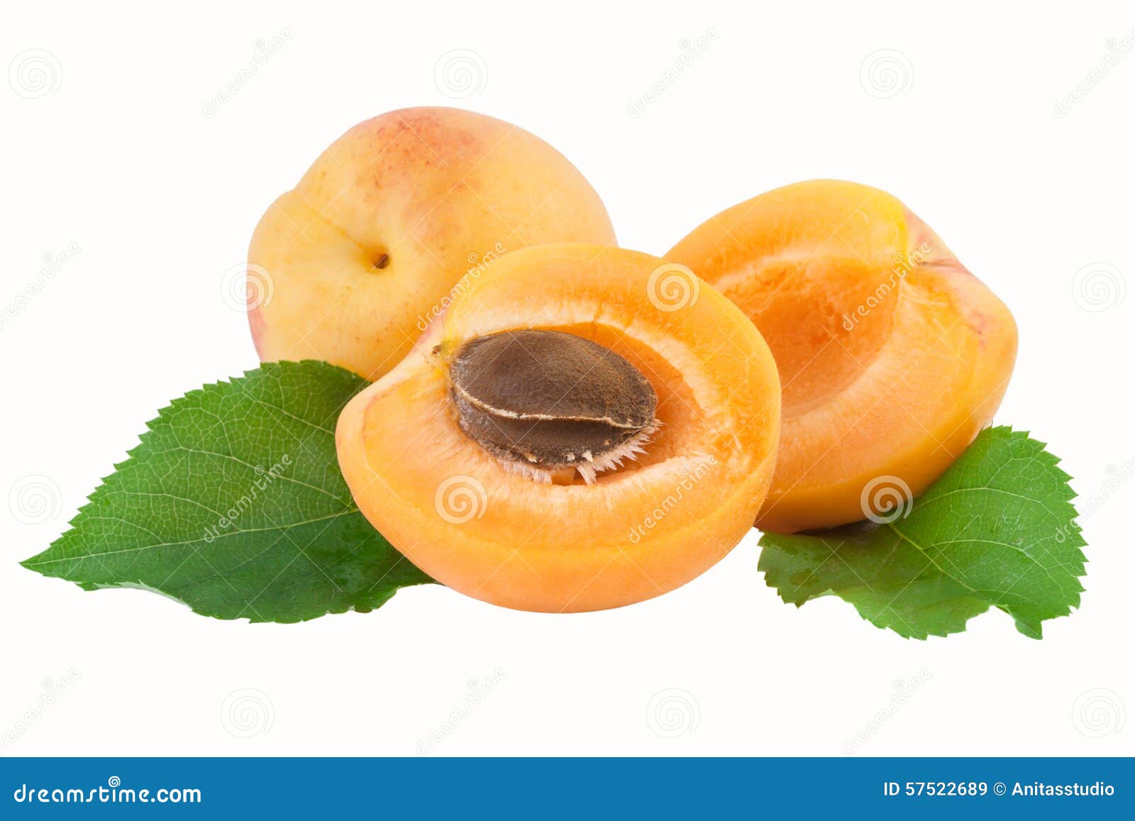 Apricot Fruit Cut Half Fruit with Core Stock Image - Image of close ...