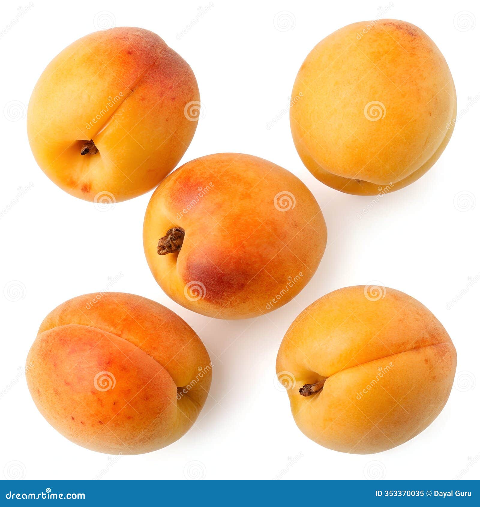 Apricot Fruits, Wall Line Art Decor. Set Of Vector Illustrations, One ...