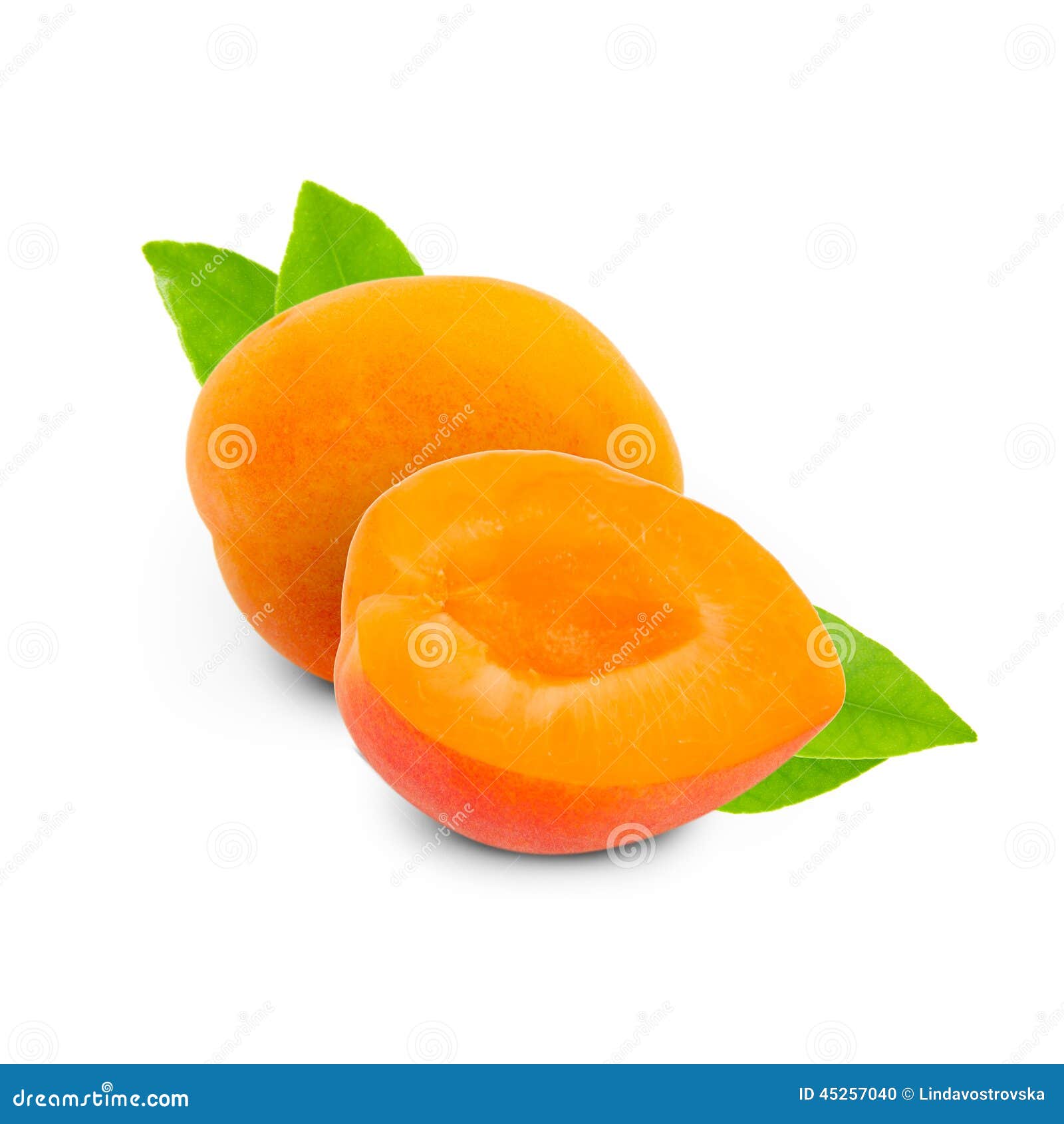 Apricot isolated stock photo. Image of ripe, breakfast - 45257040