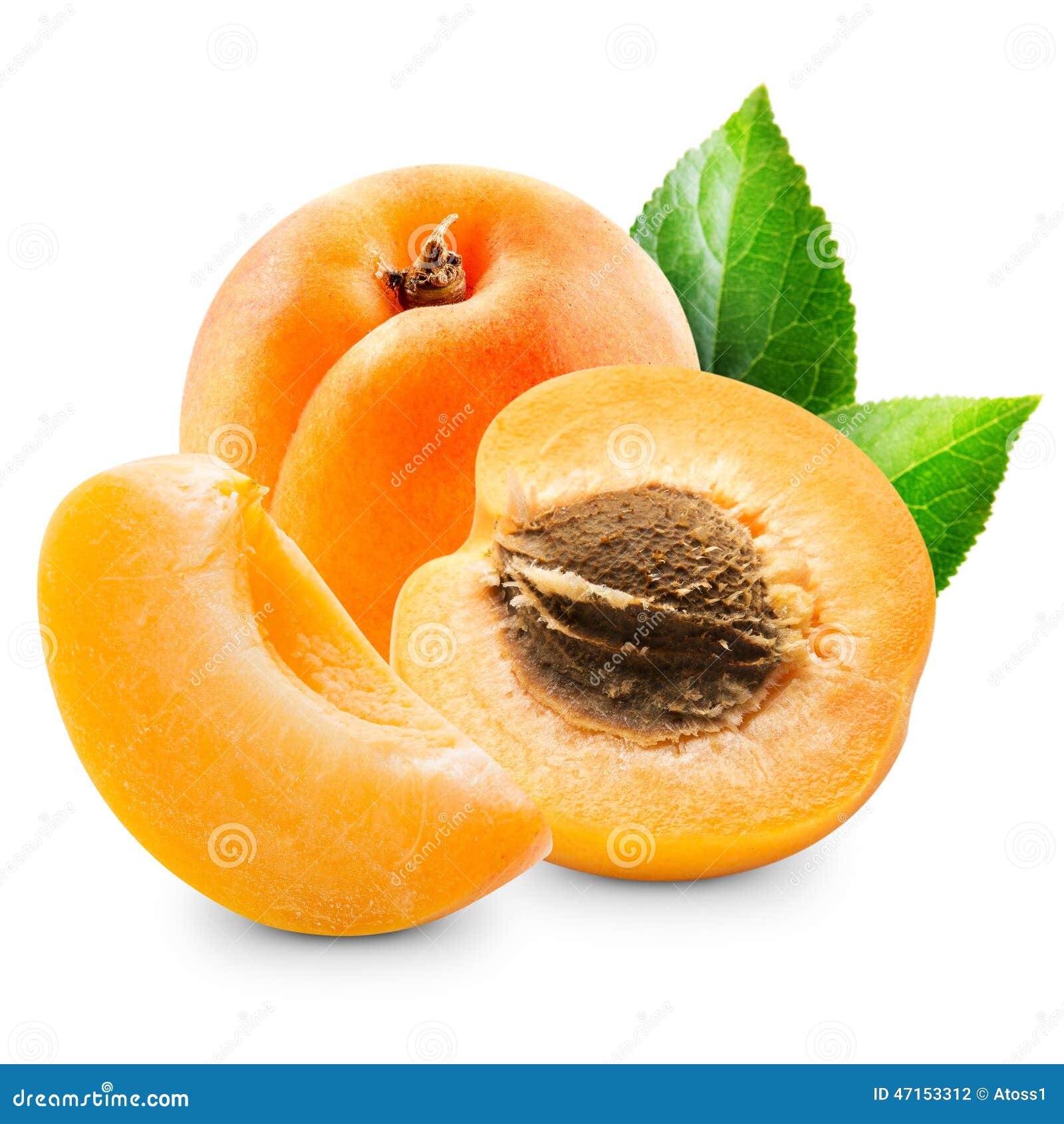 Apricot stock photo. Image of vegetarian, healthy, plant - 47153312