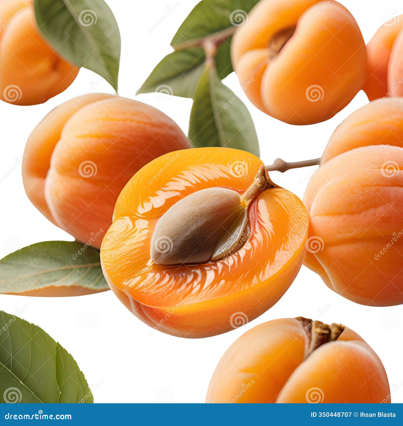 The Image Features Apricot Isolated on White Background Clipping Path ...