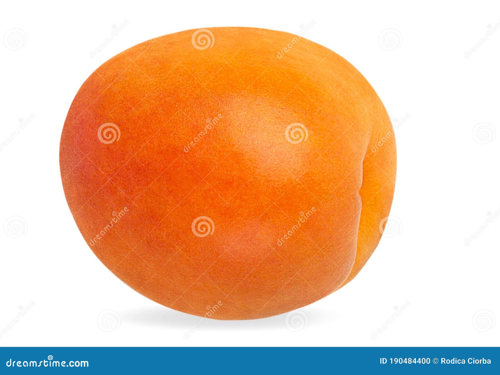 Apricot Isolated on White Background with Clipping Path Stock Photo ...