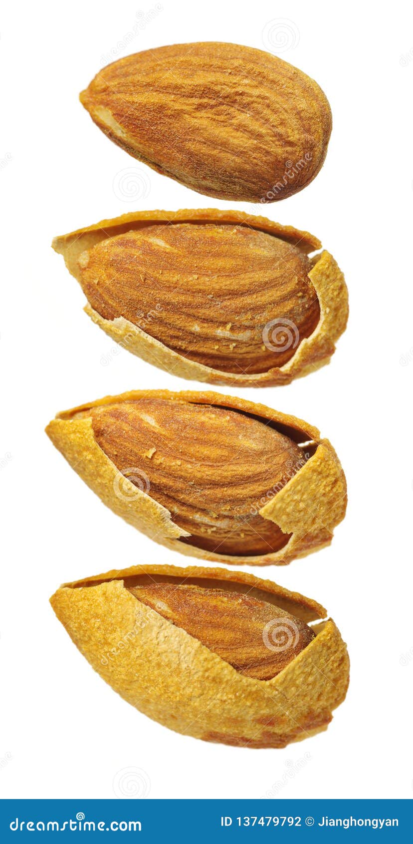 Apricot kernel stock photo. Image of white, complexity - 137479792