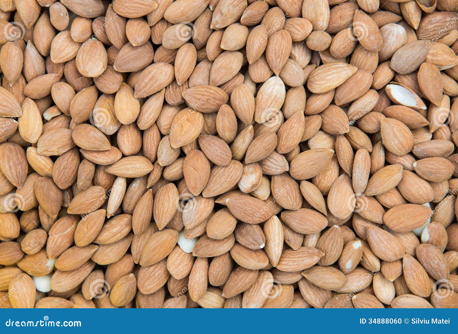 Apricot kernel stock photo. Image of healty, diet, supplement - 34888060