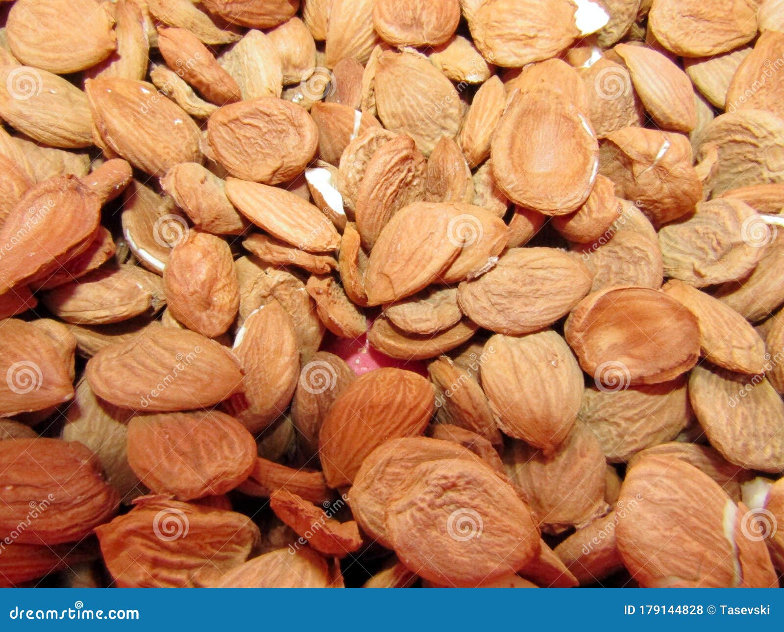 Apricot kernel core stock photo. Image of color, healthy - 179144828