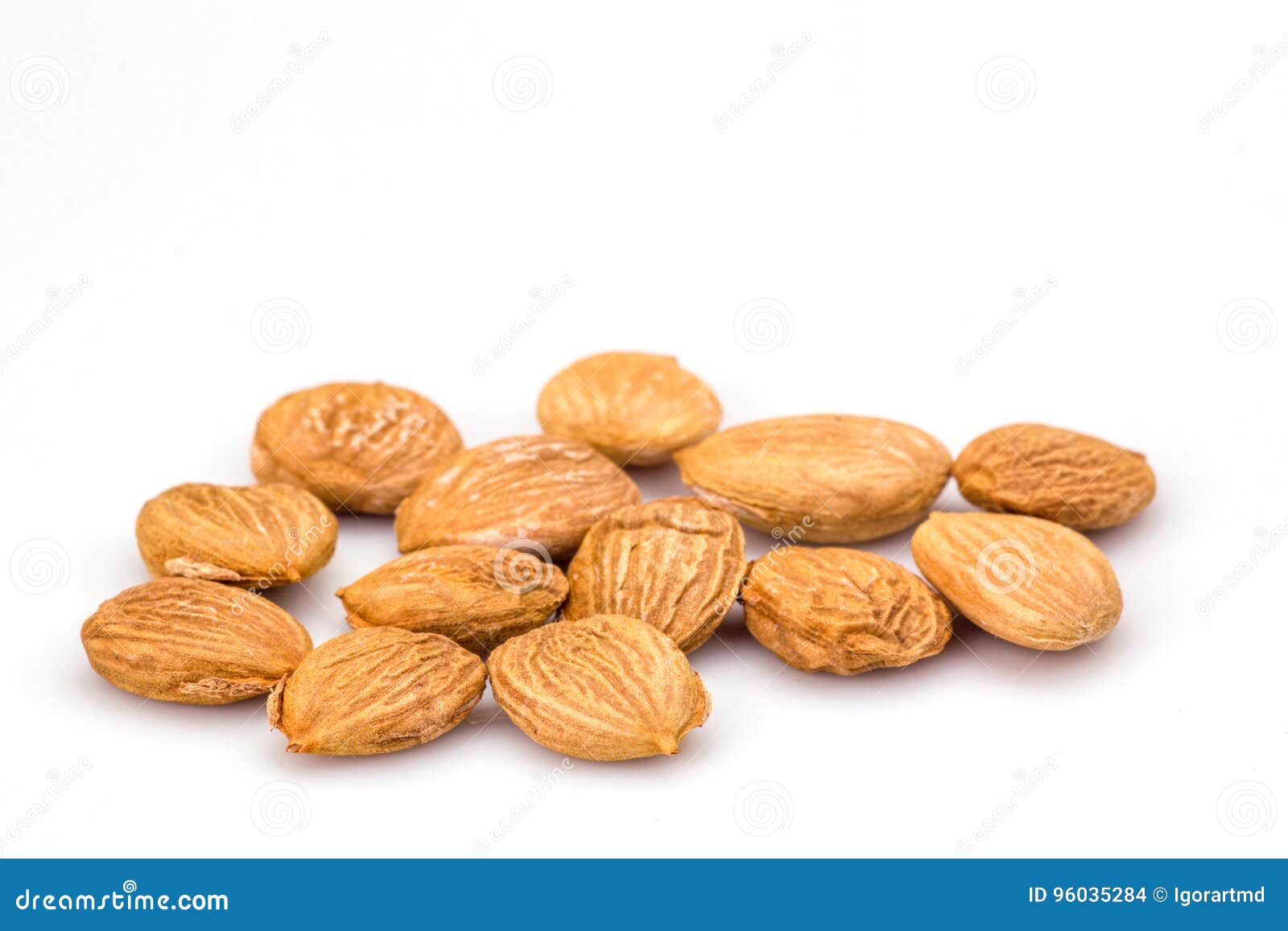 Apricot kernel stock photo. Image of brown, white, core - 96035284