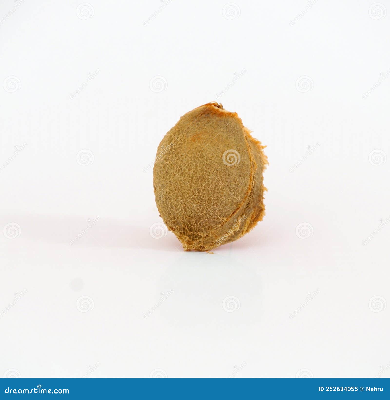 Apricot Kernel,stone, Isolated on White Background Stock Image - Image ...