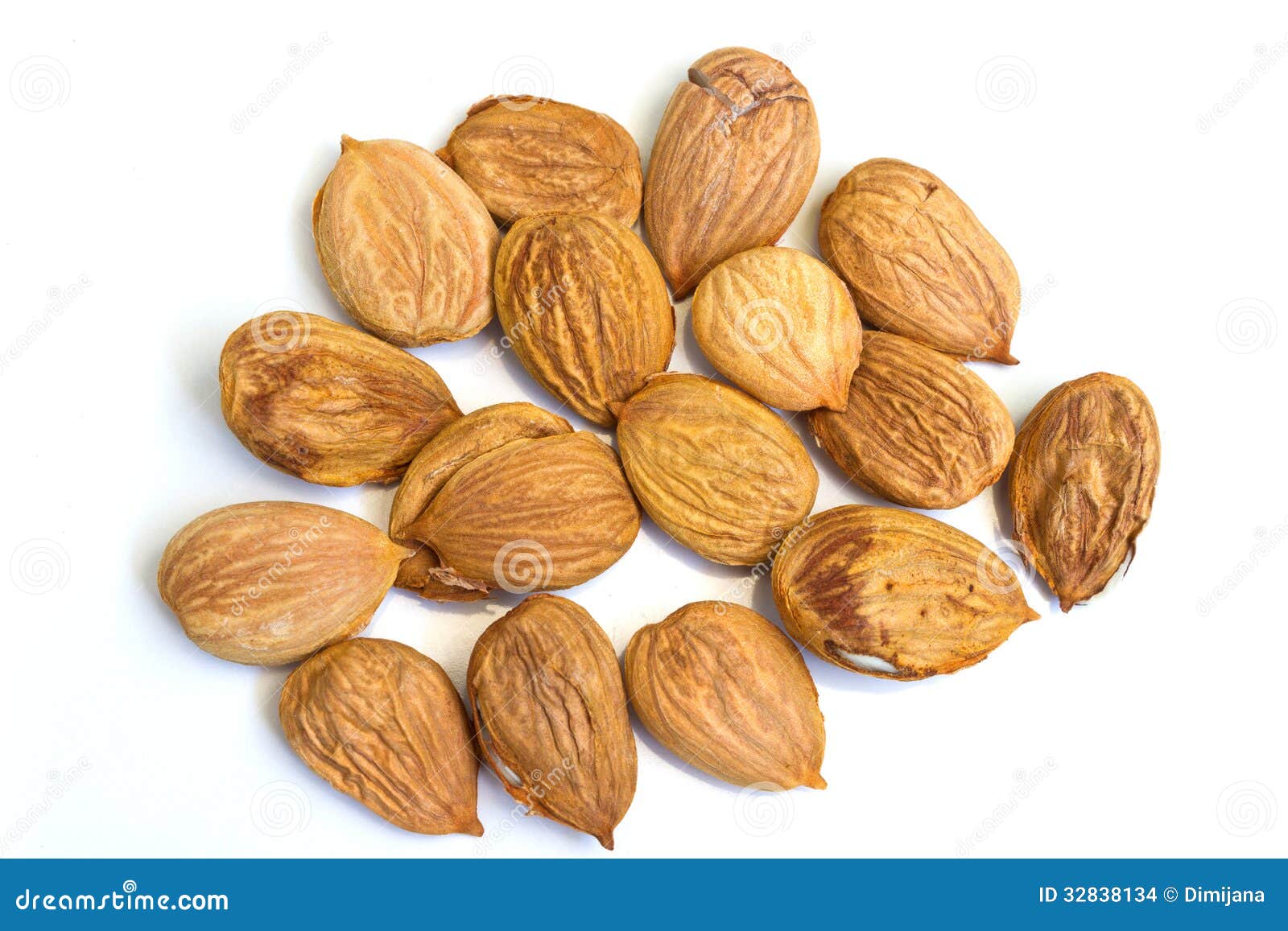 Apricot kernel stock photo. Image of fruit, dried, medicine - 32838134