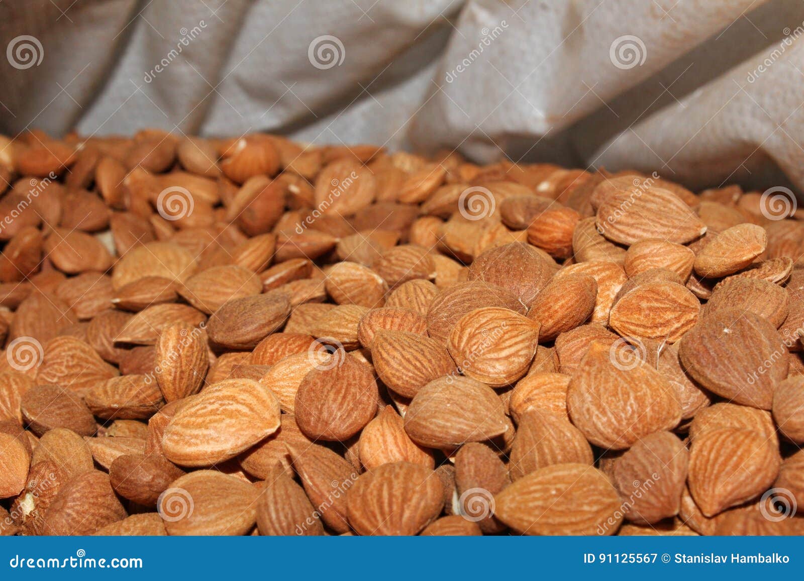 Apricot kernels stock image. Image of apricot, kernels - 91125567