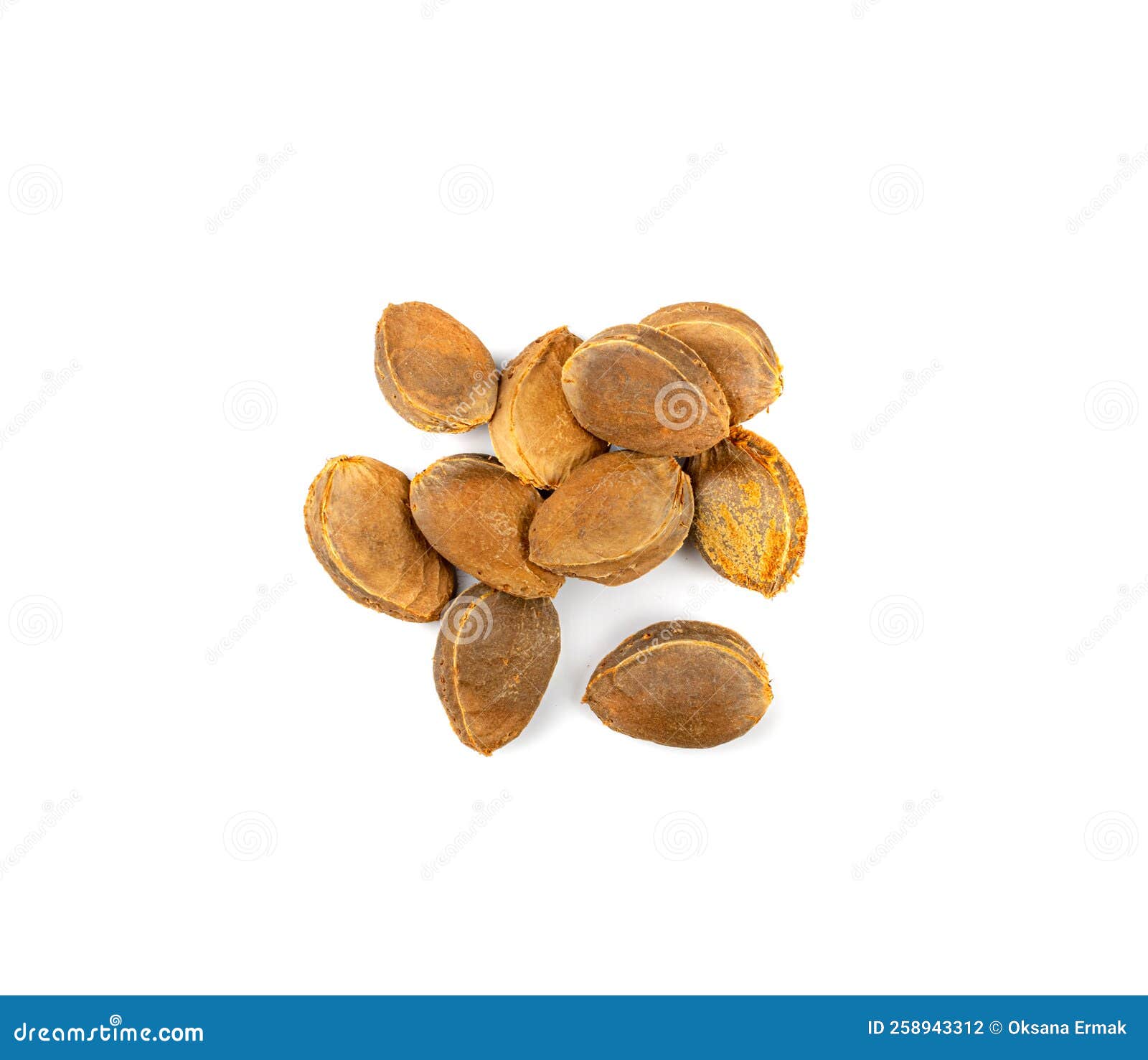 Apricot Kernels Isolated, Apricot Pits Pile, Fruit Seeds Stock Photo ...