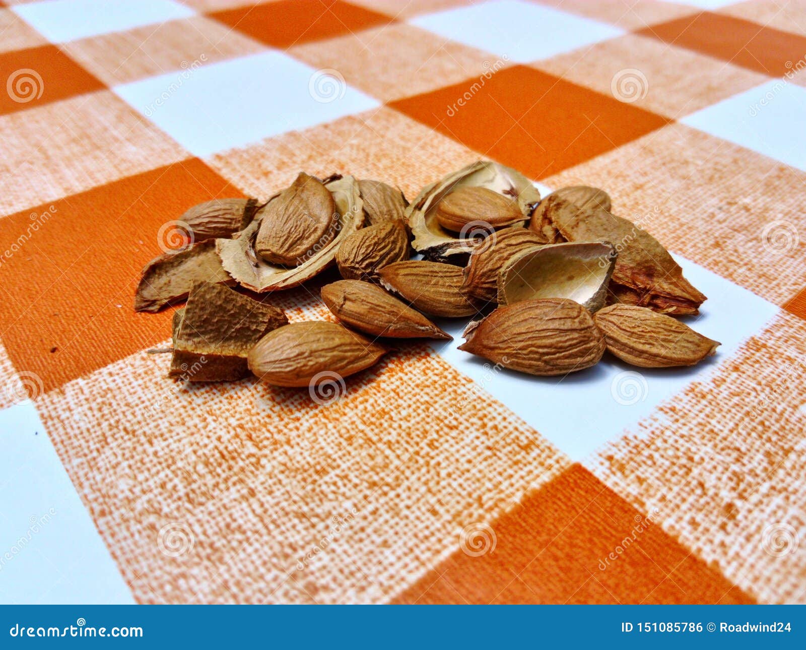 Apricot Kernels and Shells on Tablecloth Stock Photo - Image of vitamin ...