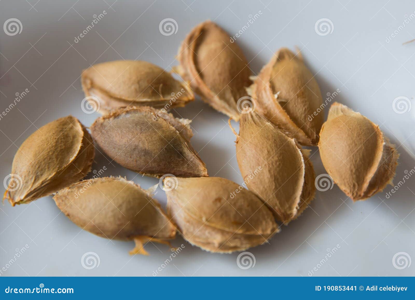 An Apricot Kernel is the Seed of an Apricot, Which is Located within ...