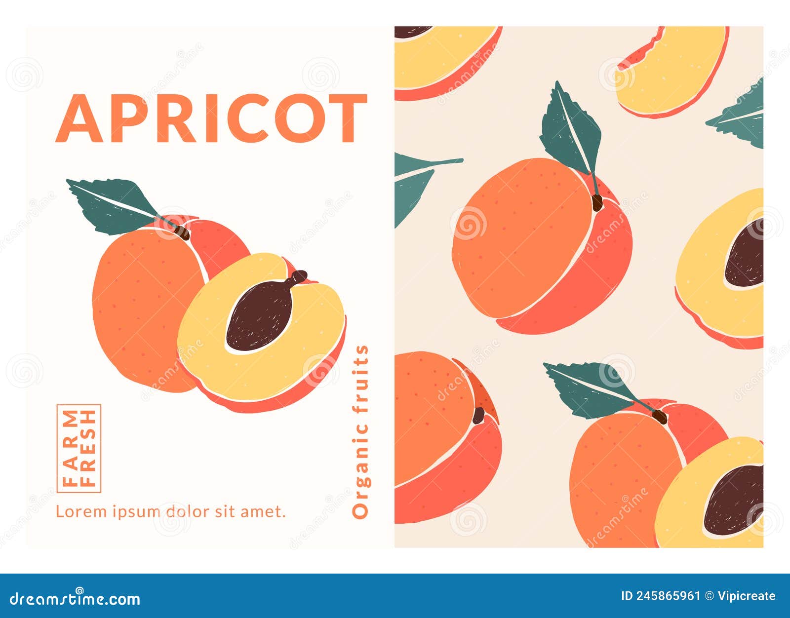 Apricot Label Packaging Design Templates, Hand Drawn Style Vector ...
