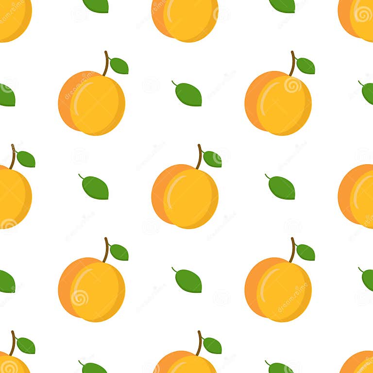 Apricot Pattern in Flat Style on White Background Stock Vector ...