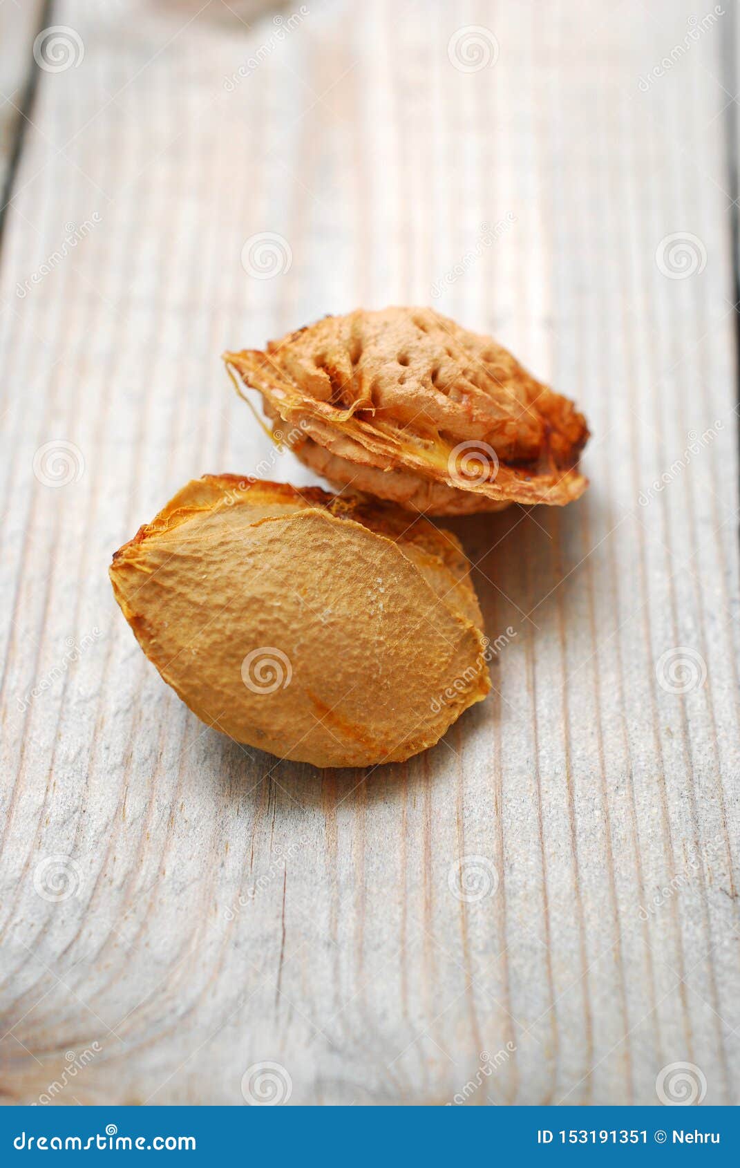 Apricot and peach kernels stock image. Image of snack - 153191351