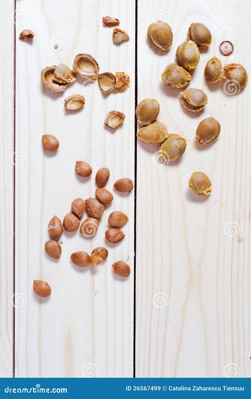 Apricot pits and shells stock image. Image of diet, edible - 26567499