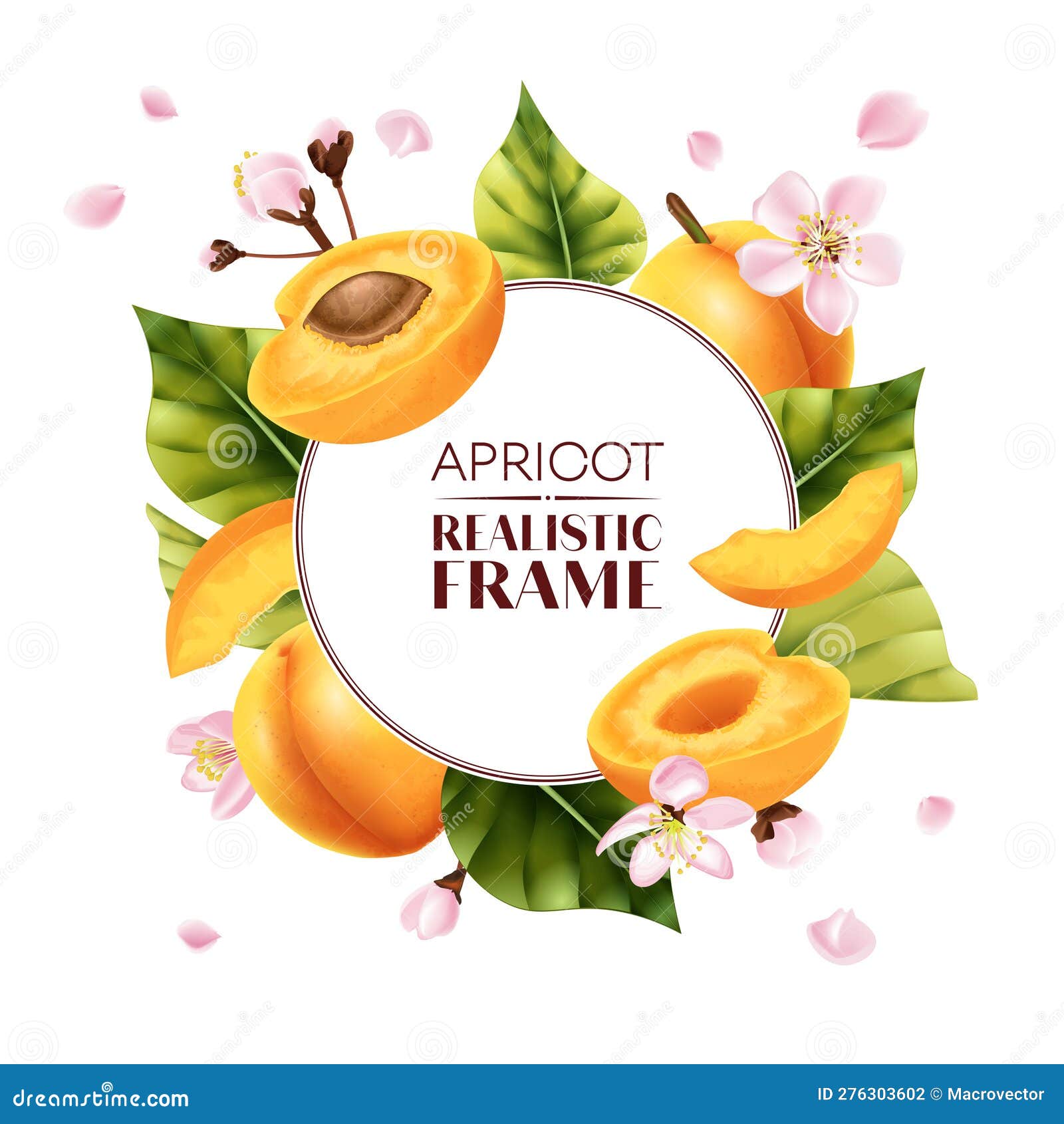 Apricot Round Frame Composition Stock Vector - Illustration of organic ...