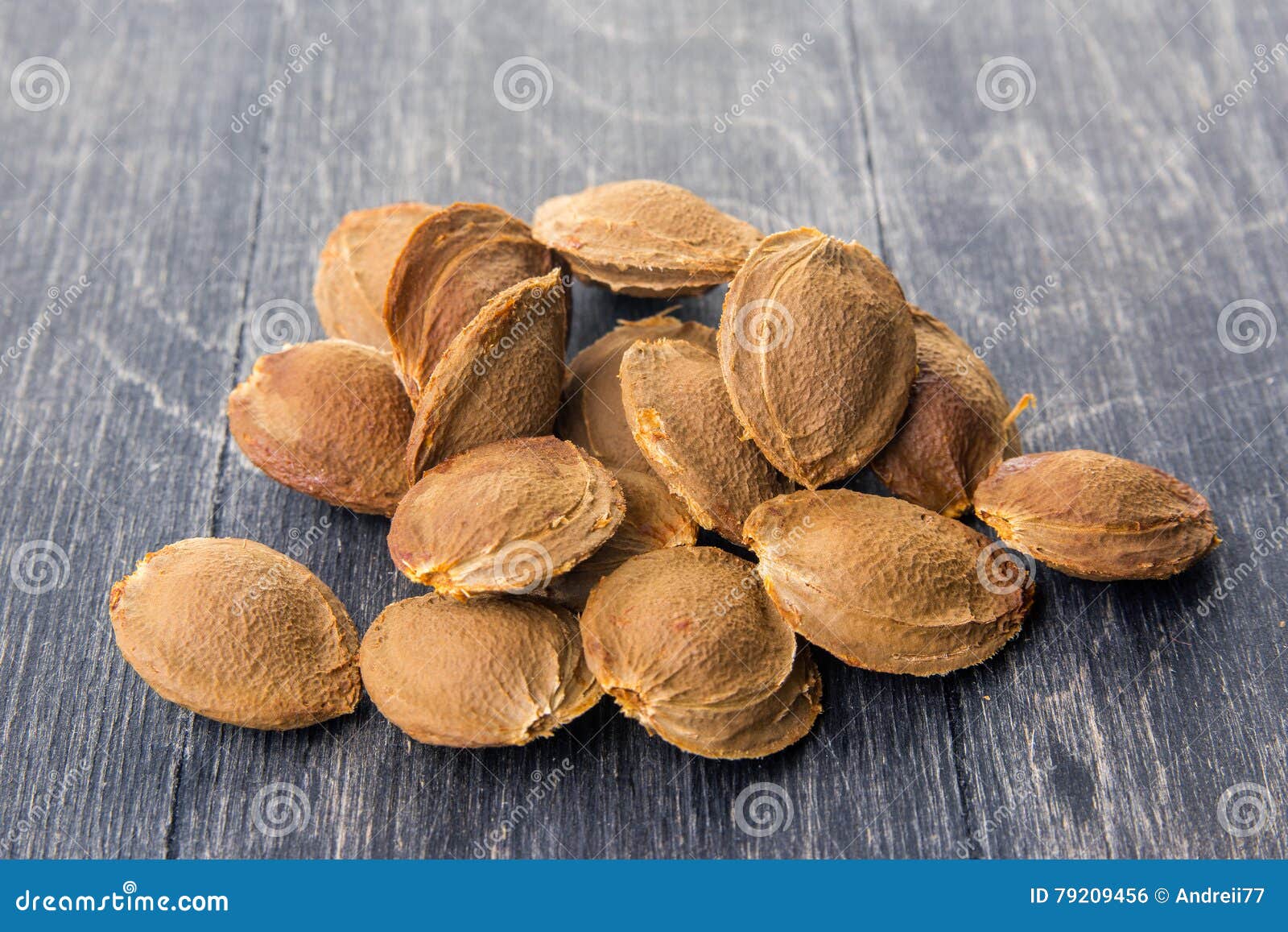 Apricot seeds stock photo. Image of objects, ingredient - 79209456