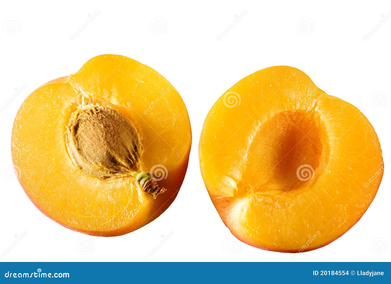 Apricot Sliced In Half Isolated On White Stock Images - Image: 20184554