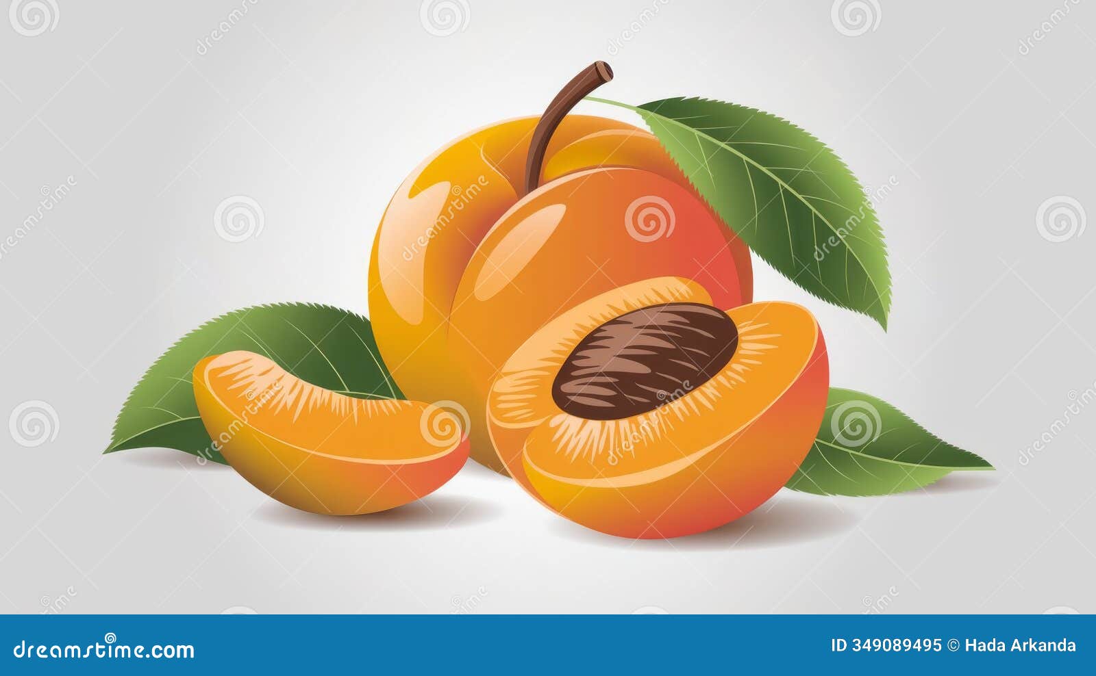 Apricot and Sliced Pieces Vector Illustration Isolated on White Stock ...