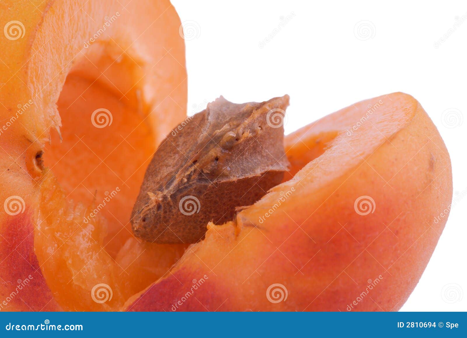 Apricot with stone stock photo. Image of nature, objects - 2810694
