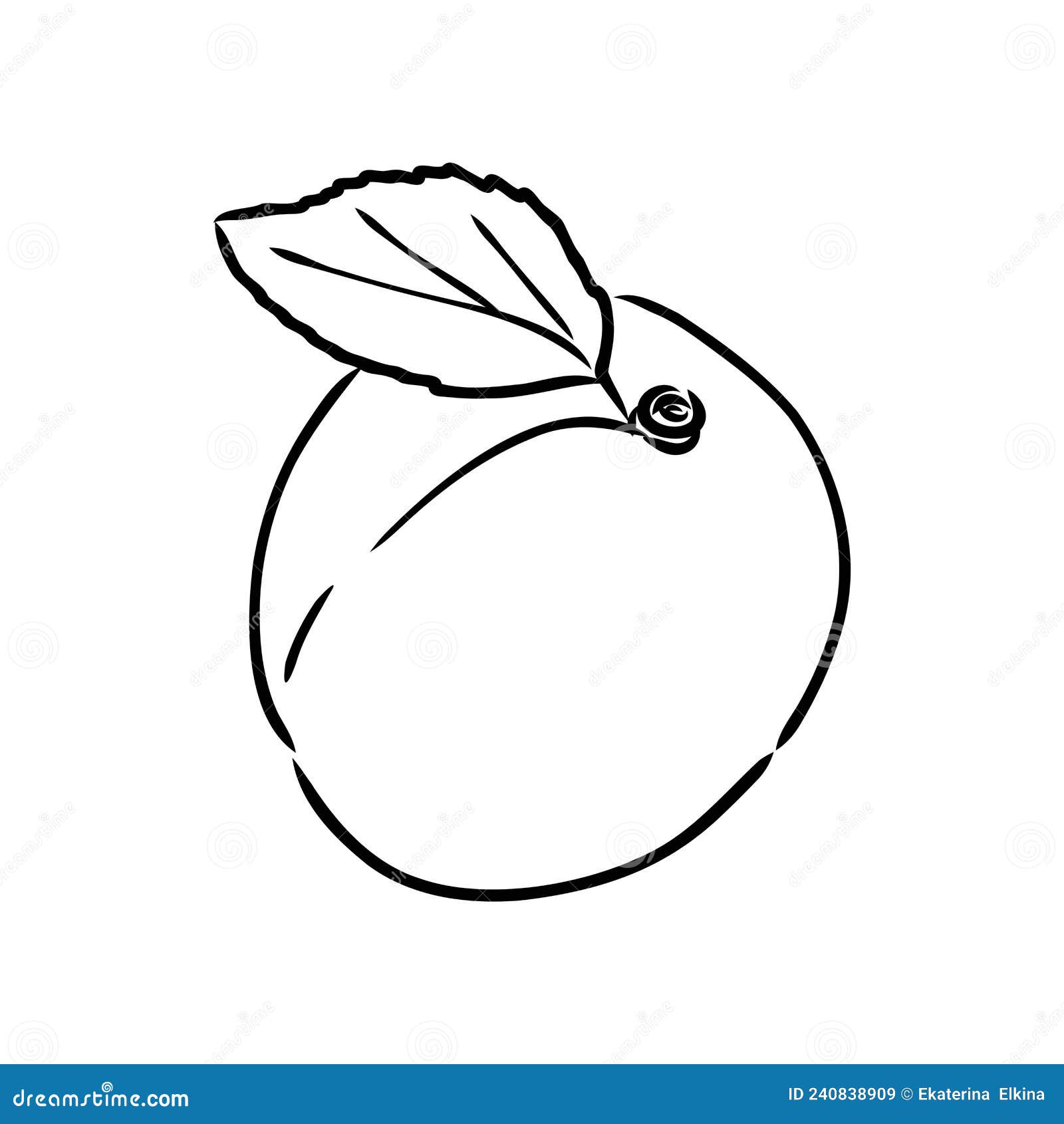 Apricot Vector Logo Design Template. Fruit or Food Icon Stock Vector ...