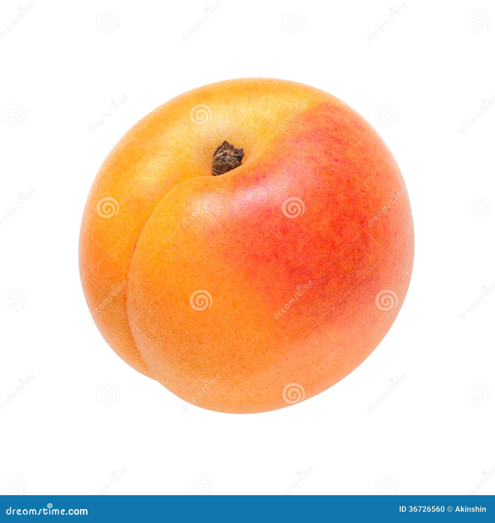 Apricot stock photo. Image of background, apricot, natural - 36726560