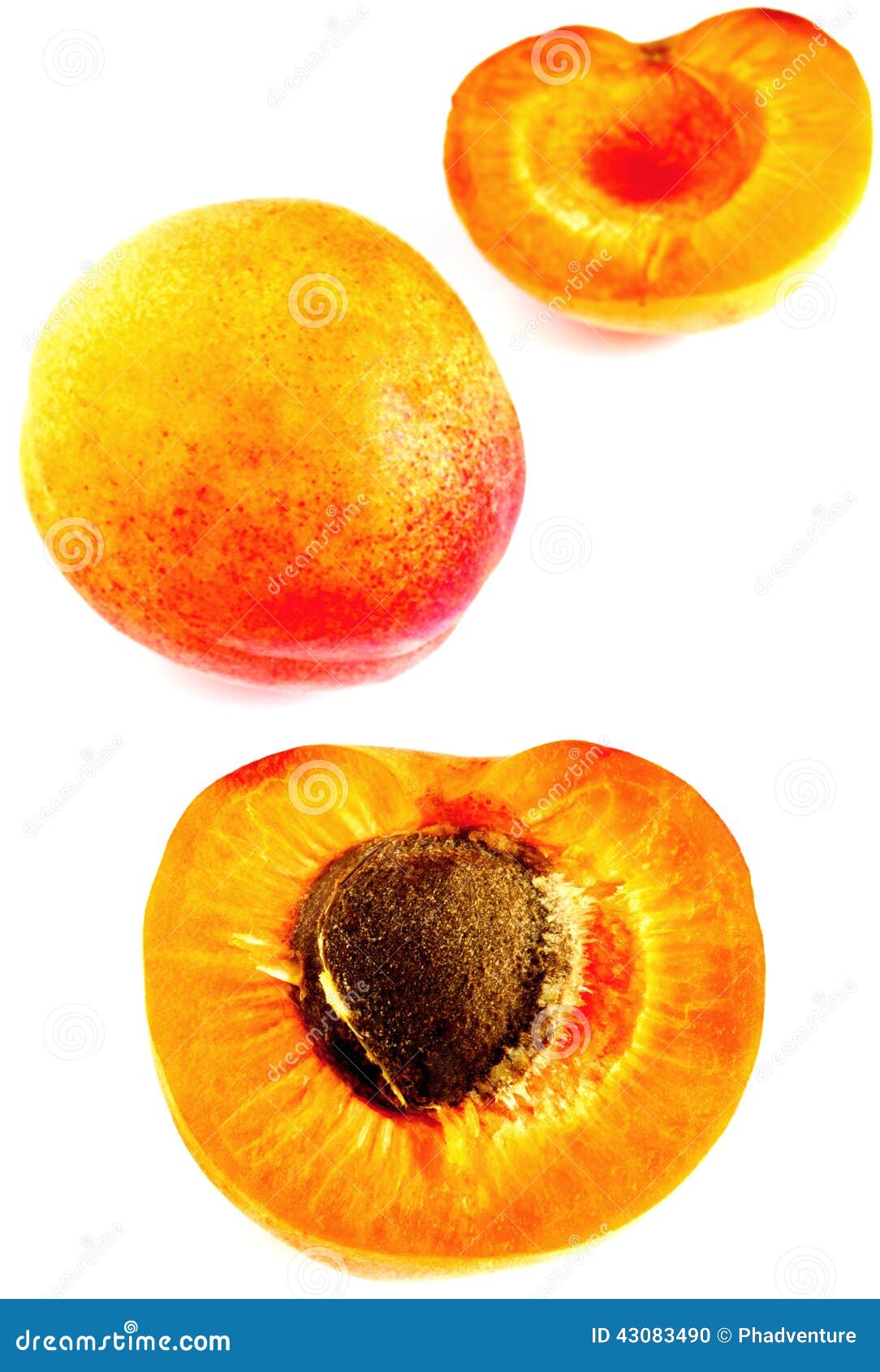 Apricot on white stock photo. Image of gourmet, agriculture - 43083490