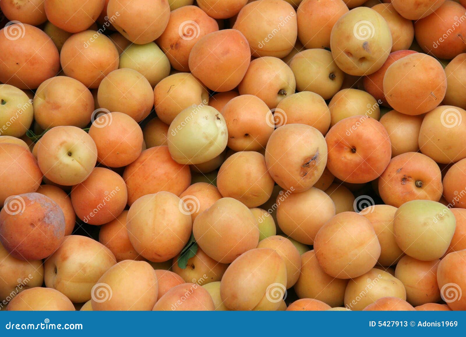 Apricots stock image. Image of background, natural, healthy - 5427913