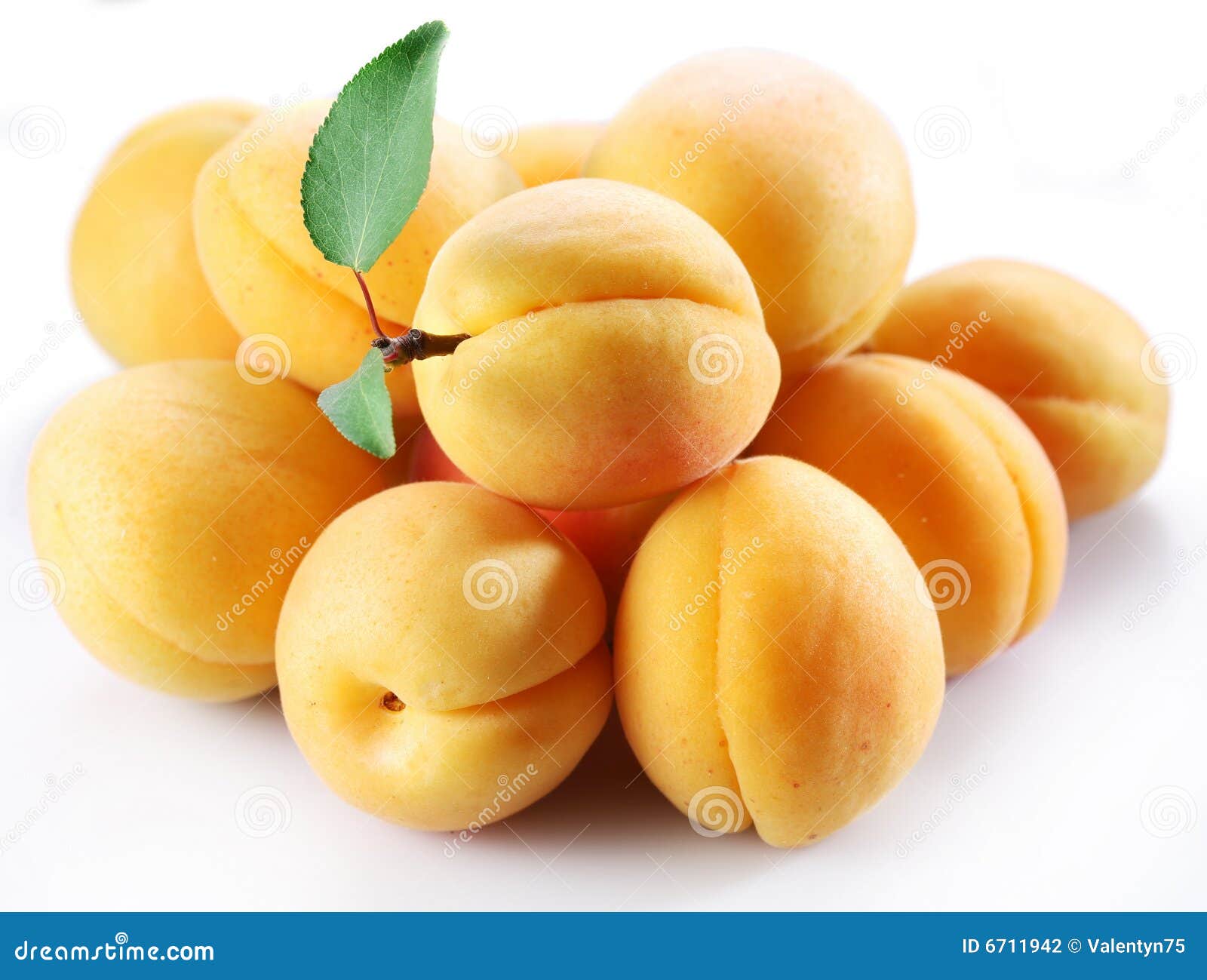 Apricots stock photo. Image of healthy, minerals, product - 6711942