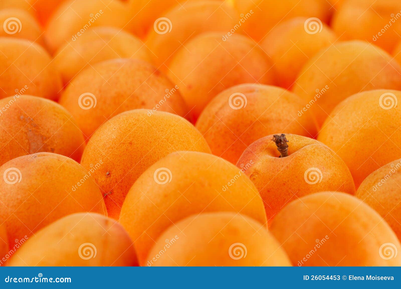 Apricots Background, Full Frame Stock Image - Image of color, season ...