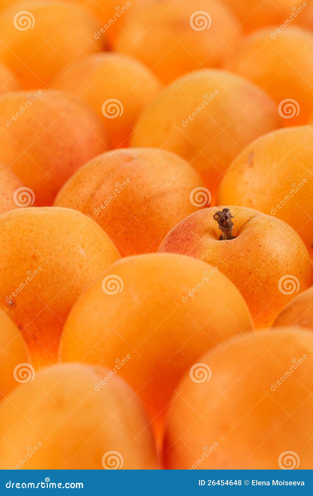 Apricots Background, Full Frame Stock Photo - Image of nature, ripe ...