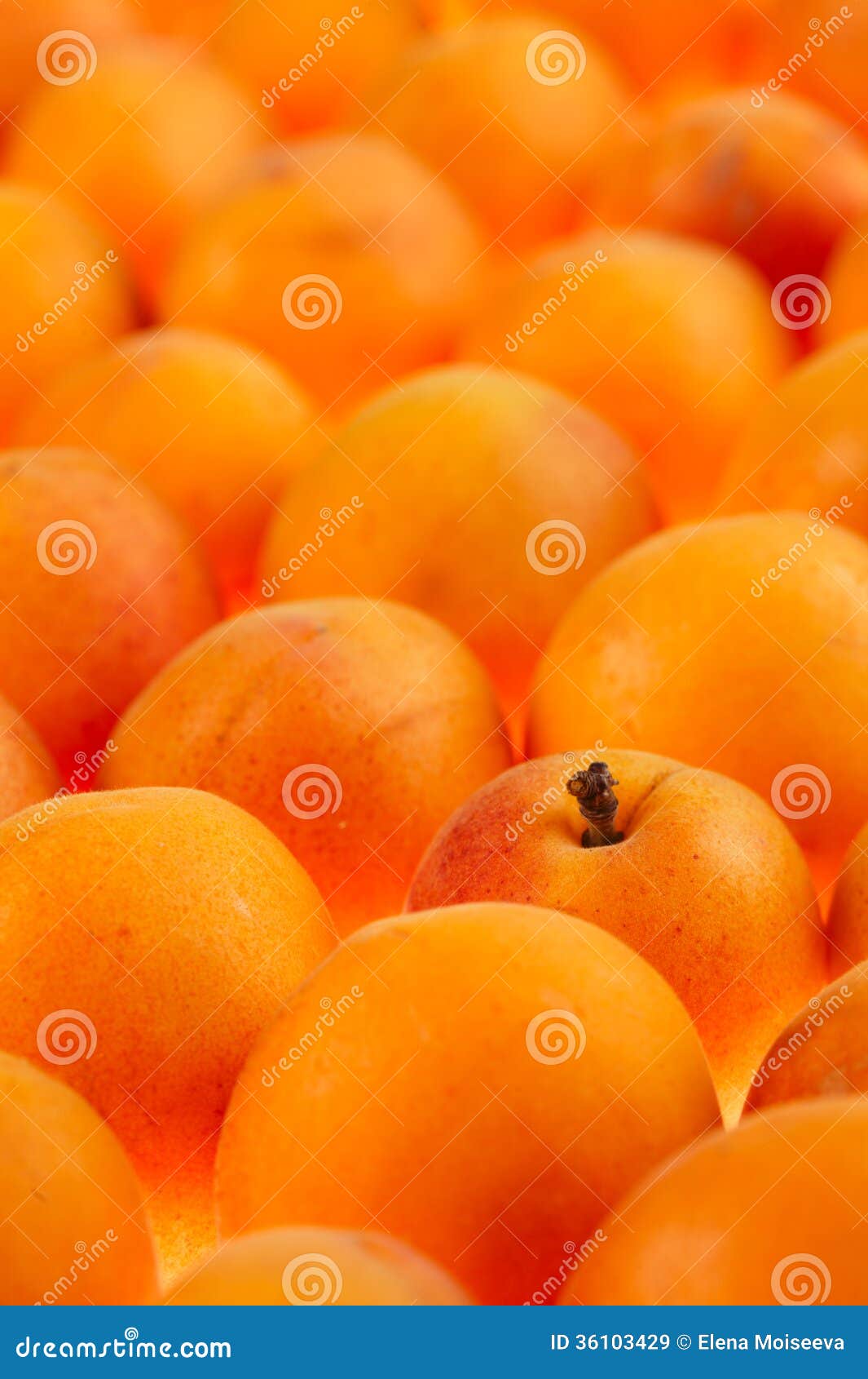 Apricots Background, Full Frame Stock Image - Image of plant, dessert ...