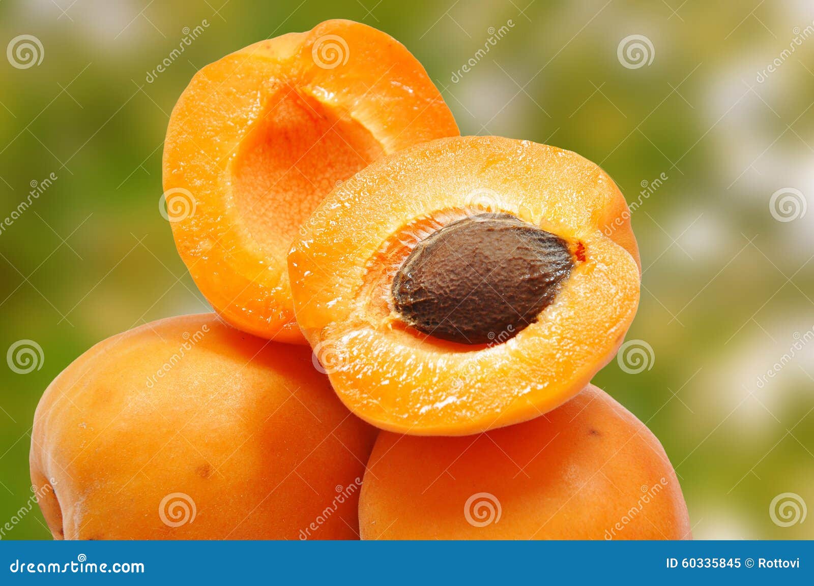 31,454 Beautiful Apricot Tree Stock Photos - Free & Royalty-Free Stock ...